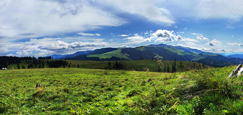 Slide - 1 | Pacific Optical